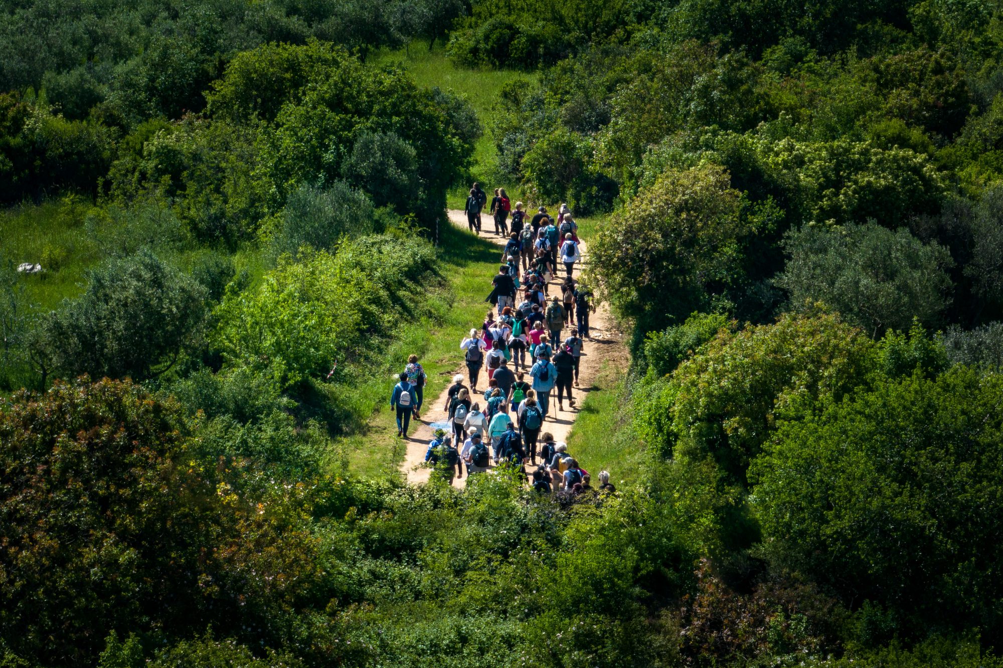 Camino Family - Medulin Riviera